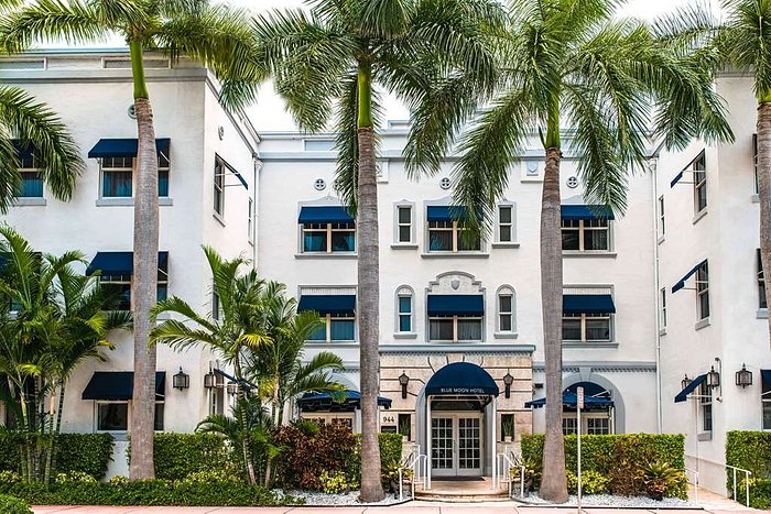 Blue Suede Hospitality Group quadruples footprint in Miami with new ...